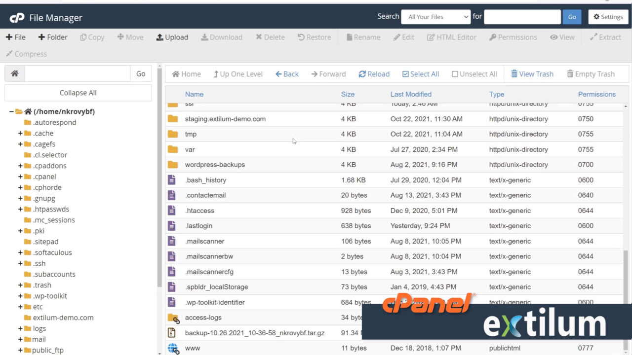 File Manager Settings - cPanel • Extilum Knowledgebase