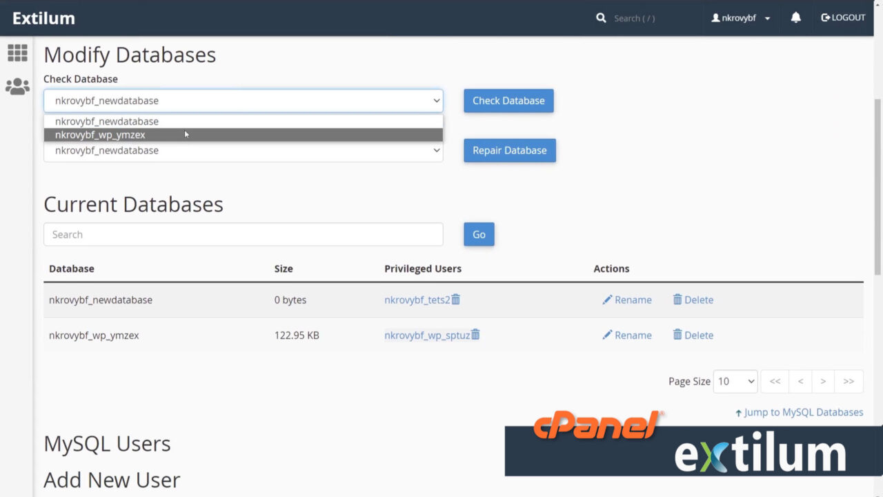 Check and Repair MySQL Database - cPanel • Extilum Knowledgebase
