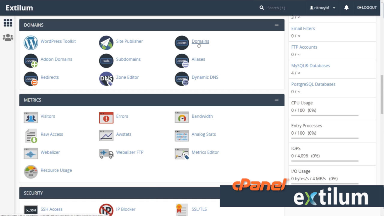 Manage Domains - cPanel • Extilum Knowledgebase