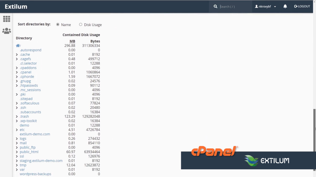 Disk Usage – cPanel | Extilum Knowledgebase