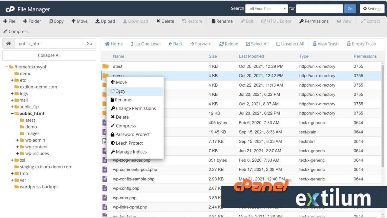 Copy Files in File Manager - cPanel • Extilum Knowledgebase