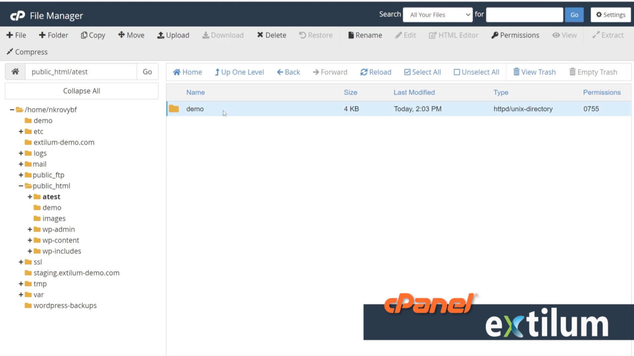 Copy Files in File Manager - cPanel • Extilum Knowledgebase