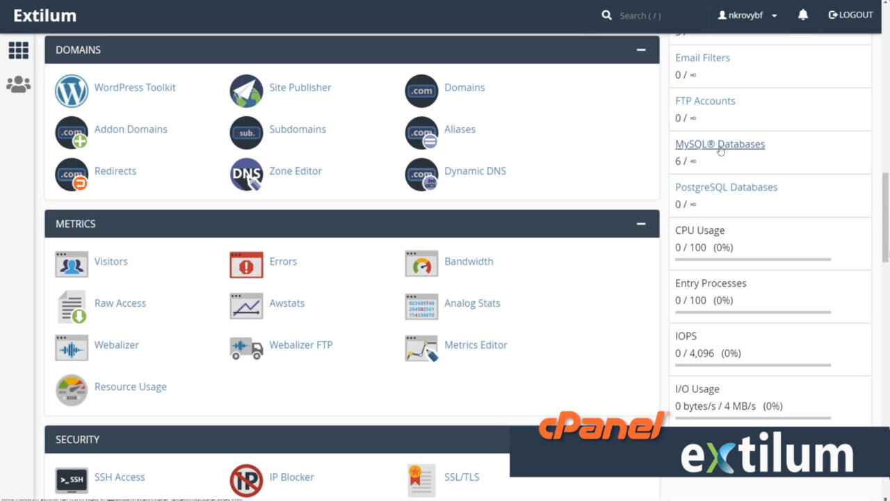 View Statistics - cPanel • Extilum Knowledgebase